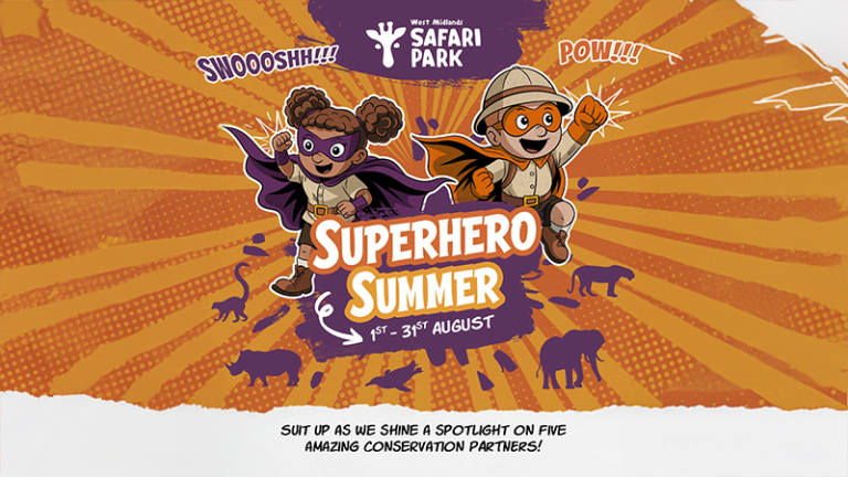 Superhero Summer at West Midlands Safari Park - Official Website of the ...